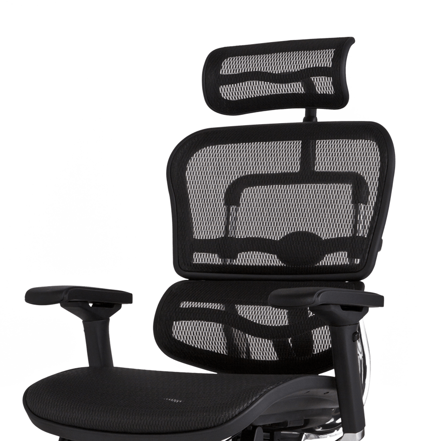 エルゴヒューマン ベーシック / ヘッドレスト無し | Ergohuman Professional Dealer